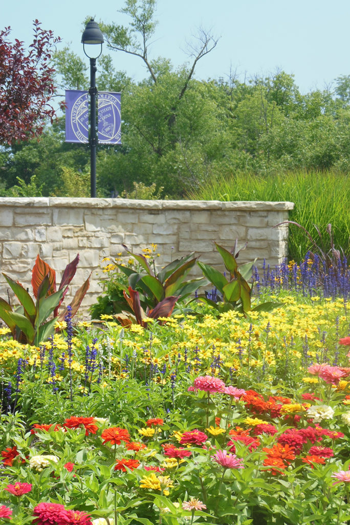 Colorful College Campus - Milwaukee Landscaping Company | Waukesha ...
