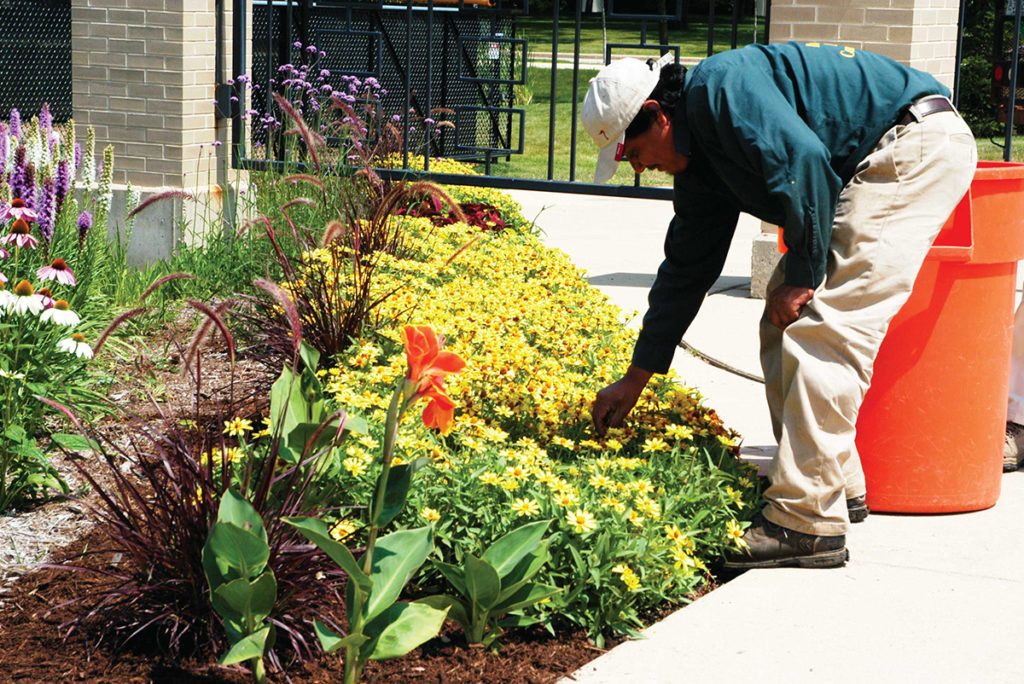 Colorful College Campus - Milwaukee Landscaping Company | Waukesha ...