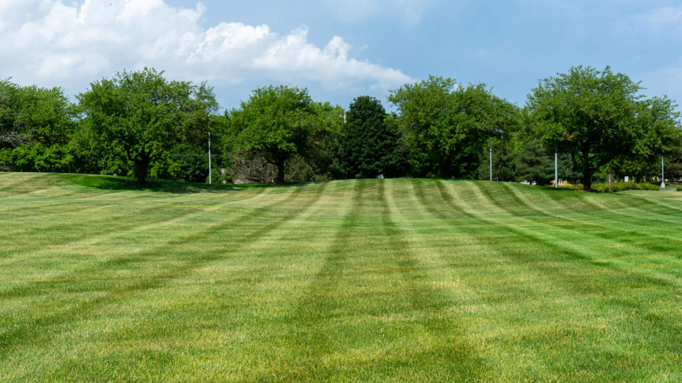 Urban Rejuvenation - Milwaukee Landscaping Company | Waukesha Landscape ...