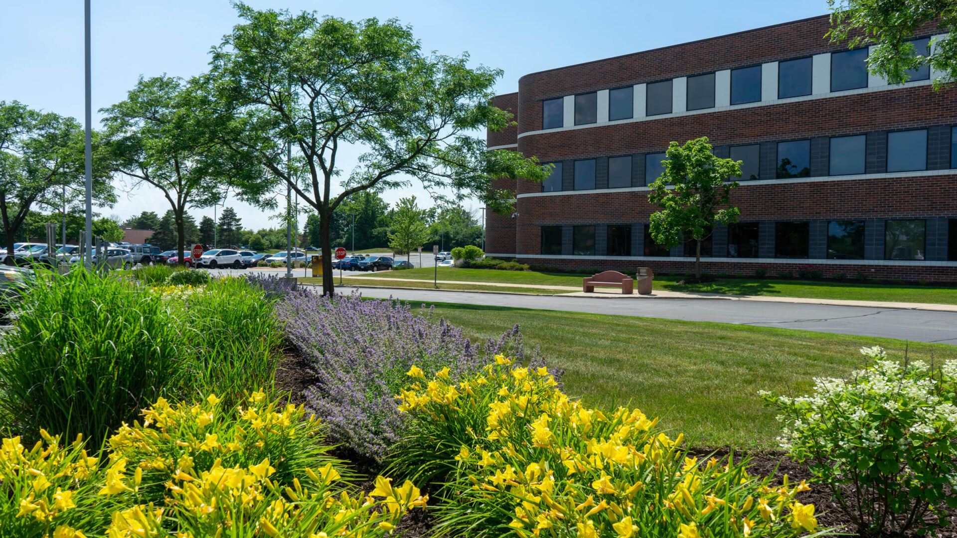 Urban Rejuvenation - Milwaukee Landscaping Company | Waukesha Landscape ...