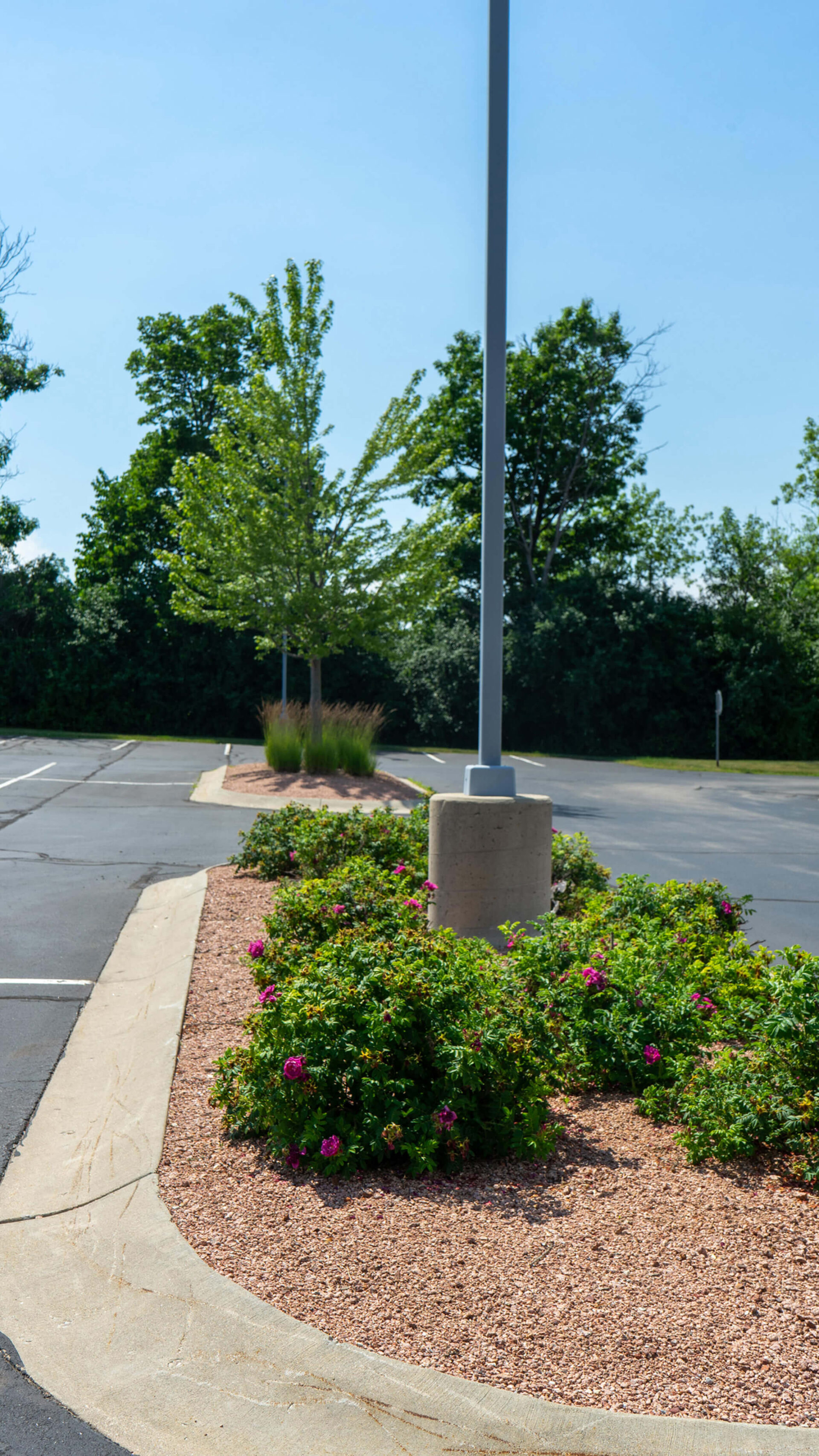Urban Rejuvenation - Milwaukee Landscaping Company | Waukesha Landscape ...